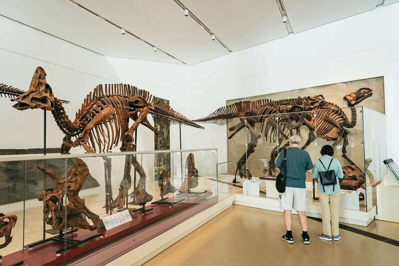 Toronto: Royal Ontario Museum Admission Ticket - The Museums Layout and What Youll Encounter