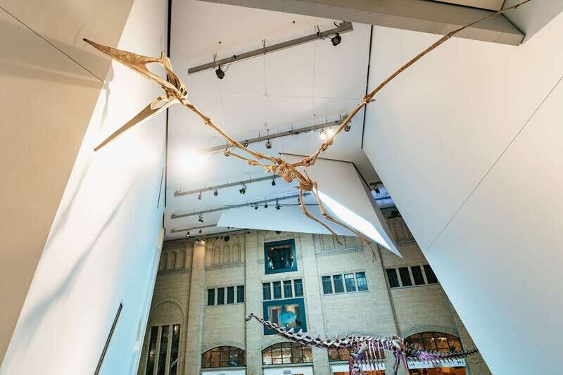 Toronto: Royal Ontario Museum Admission Ticket - Practical Considerations