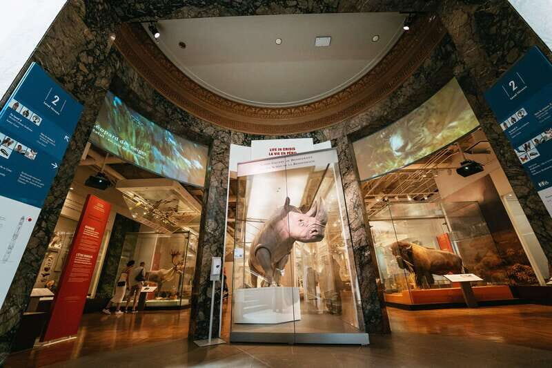 Toronto: Royal Ontario Museum Admission Ticket - Authentic Experiences from Visitors