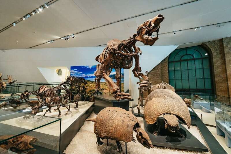 Toronto: Royal Ontario Museum Admission Ticket - FAQs