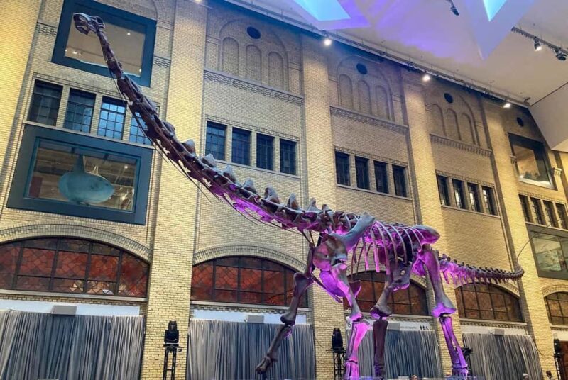 Toronto: Royal Ontario Museum Scavenger Hunt - An Introduction to the ROM Scavenger Hunt Experience
