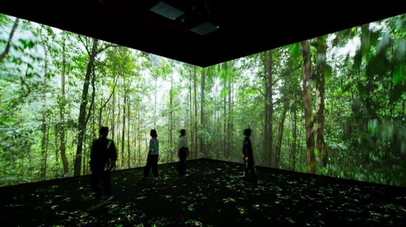 Toronto: Royal Ontario Museum Special Exhibits Voucher - The Sum Up