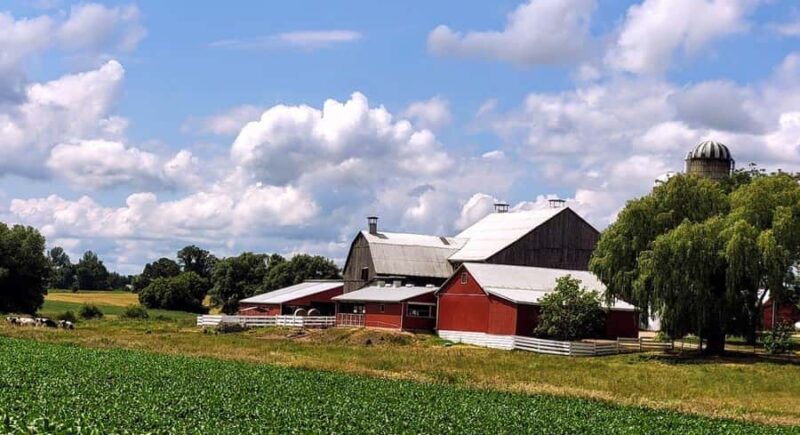 Toronto: St. Jacobs Market and Mennonite Country Tour - An In-Depth Look at the Tour Experience
