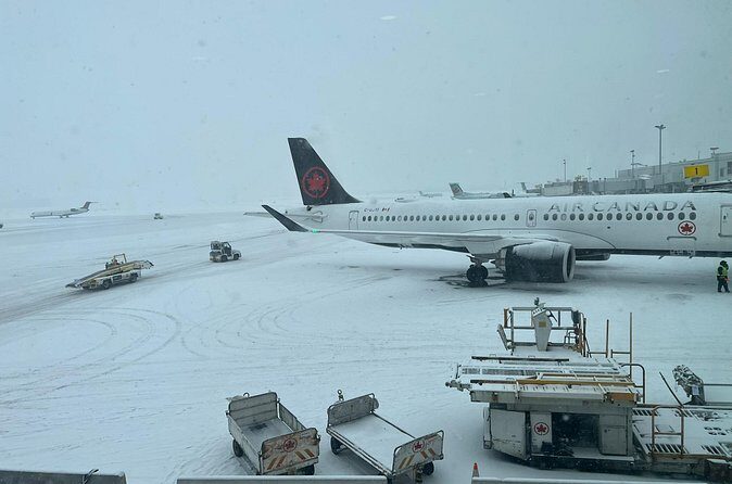 Toronto to Niagara Day Tour - Transportation and Timing