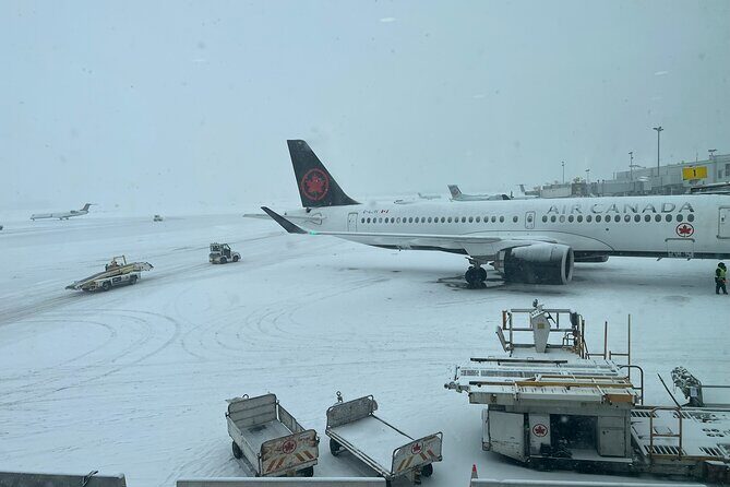 Toronto to Niagara Day Tour - Additional Activities and Costs