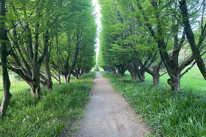 Toronto to Niagara Day Tour - The Sum Up