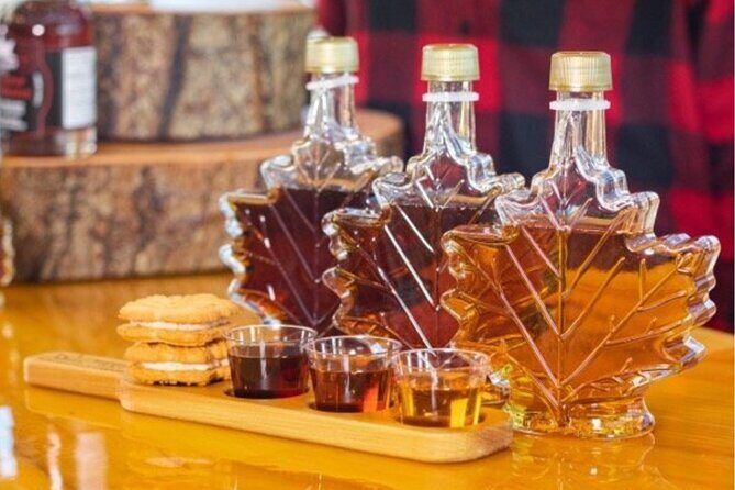 Toronto to Niagara Falls Evening Tour - An Overview of the Experience