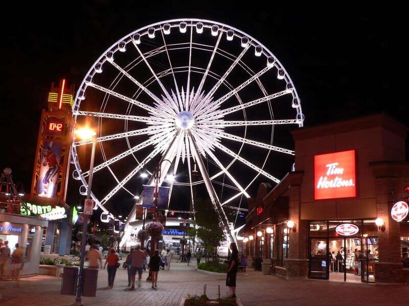 Toronto to Niagara Falls: Evening Tour with Cruise & lights - Who Will Love This Tour?
