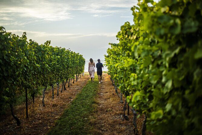 Toronto to Niagara Falls VIP Maple and Wine Tastings - Summary: Who Is This Tour Best For?