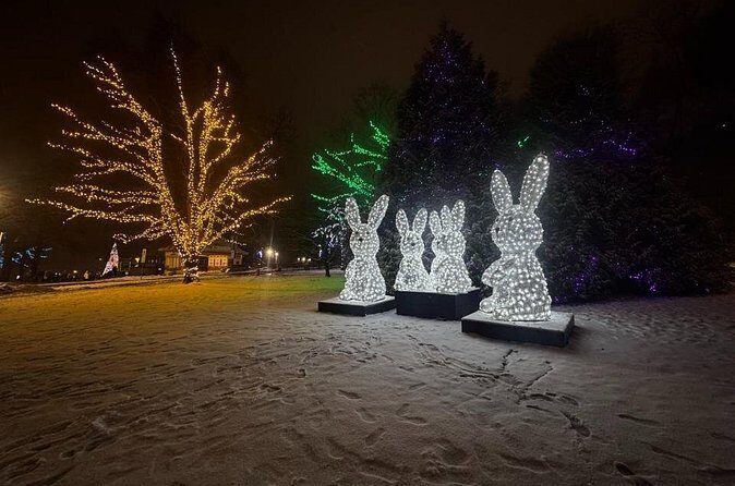 Toronto to Niagara Private Tour in Limousine - Who Should Consider This Tour?