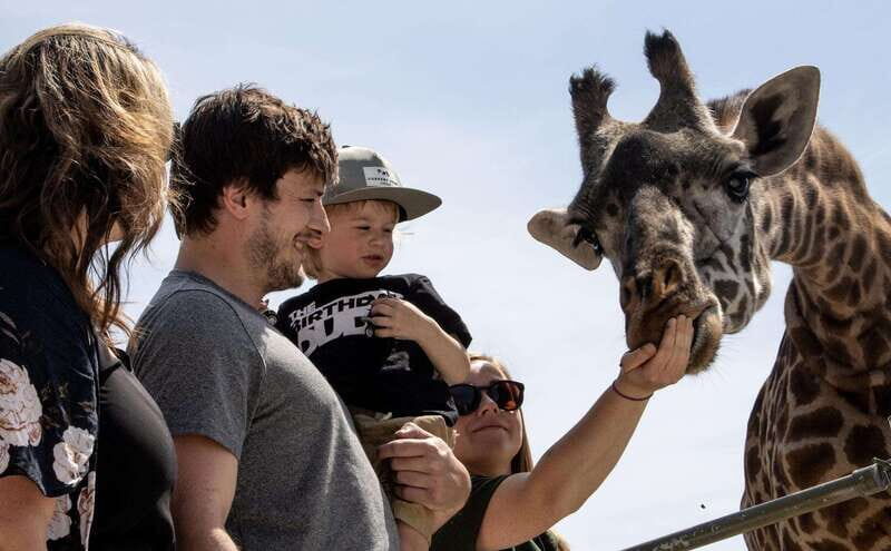 Toronto: Toronto Zoo Entry Ticket - A Closer Look at What You Can Expect at the Toronto Zoo