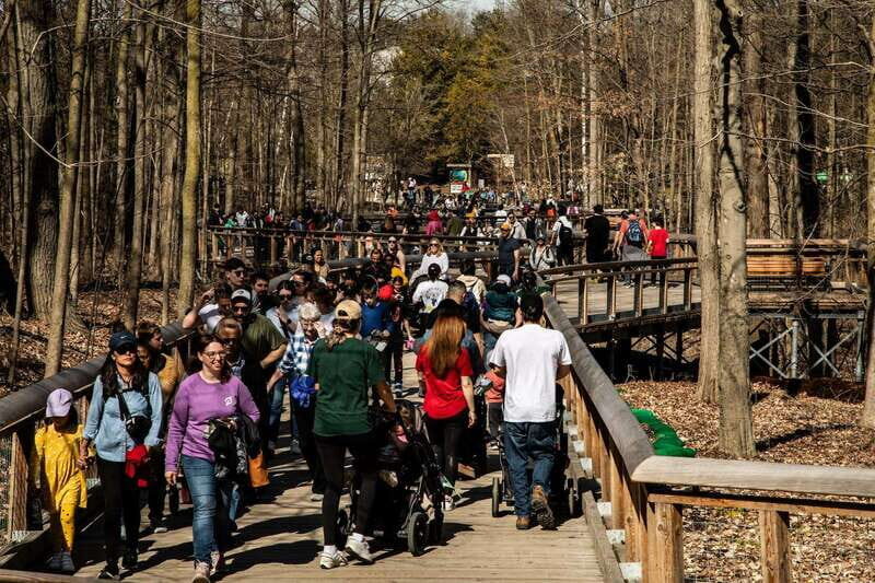 Toronto: Toronto Zoo Entry Ticket - Final Thoughts: Who Will Benefit Most?