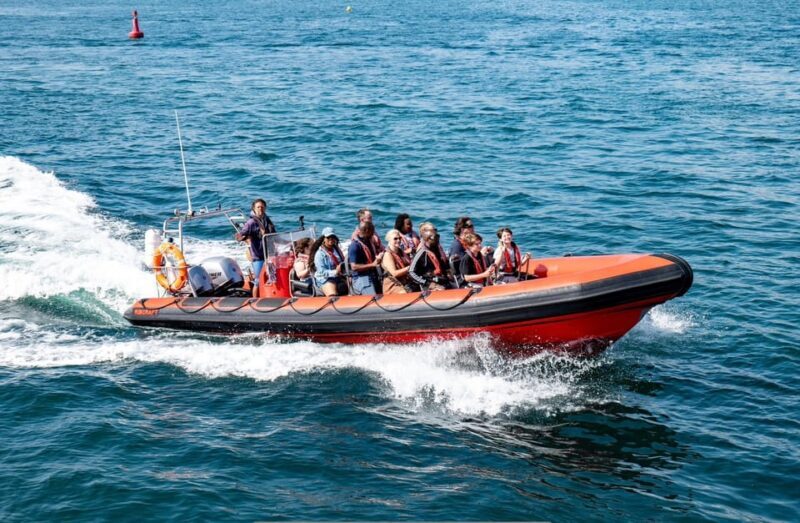 Torquay: 1-Hour Coastal Explorer Boat Trip - A Detailed Look at the Coastal Explorer Boat Trip