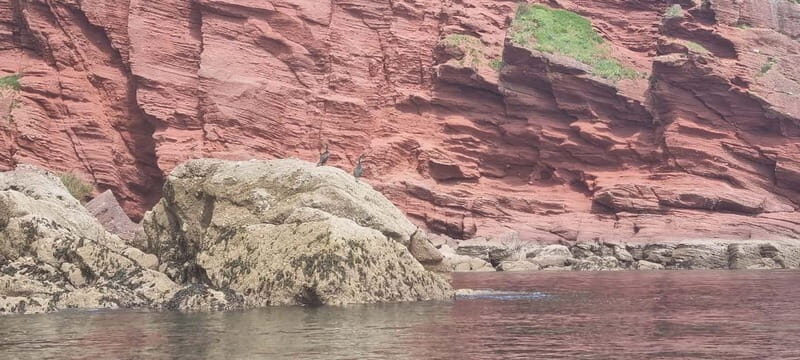 Torquay: Canoe Rental - What to Expect from Your Canoe Day
