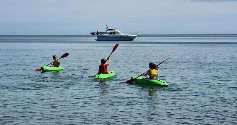 Torquay: Kayak Rental with Sit-on-Top and Sit-in Kayaks - An Overview of What to Expect