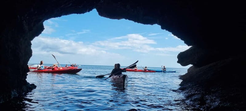 Torquay: Wildlife, Bushcraft and Sea Cave Kayak Safari - An Active Journey through the English Riviera