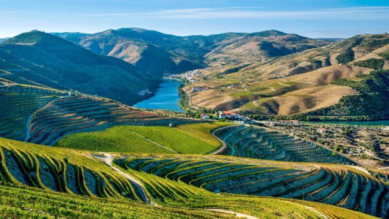 Torre de Moncorvo: Douro Valley Wine Farm & Rural Workshops - Wrapping Up: Is This Tour Worth It?