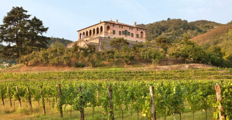 Torreglia: Villa dei Vescovi - A Closer Look at Villa dei Vescovi