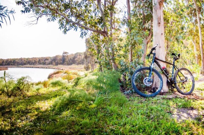 Torregrande marina bike tour - FAQ