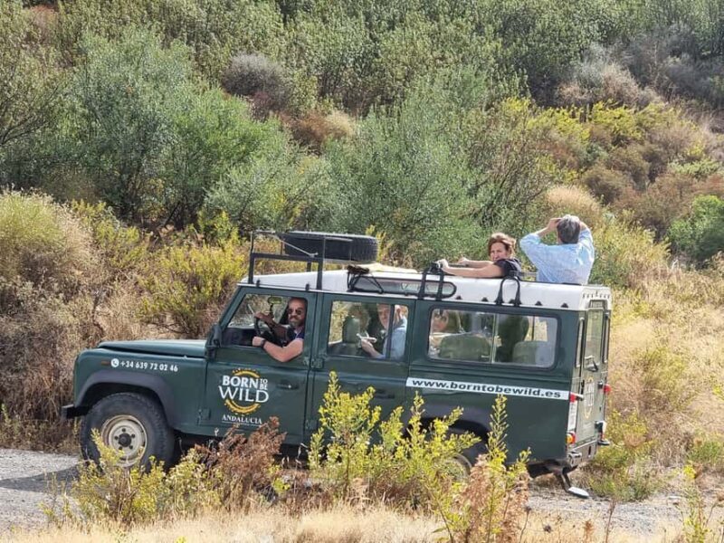 Torremolinos-Benalmádena: Jeep EcoTour - Authentic Andalusia - Key Points