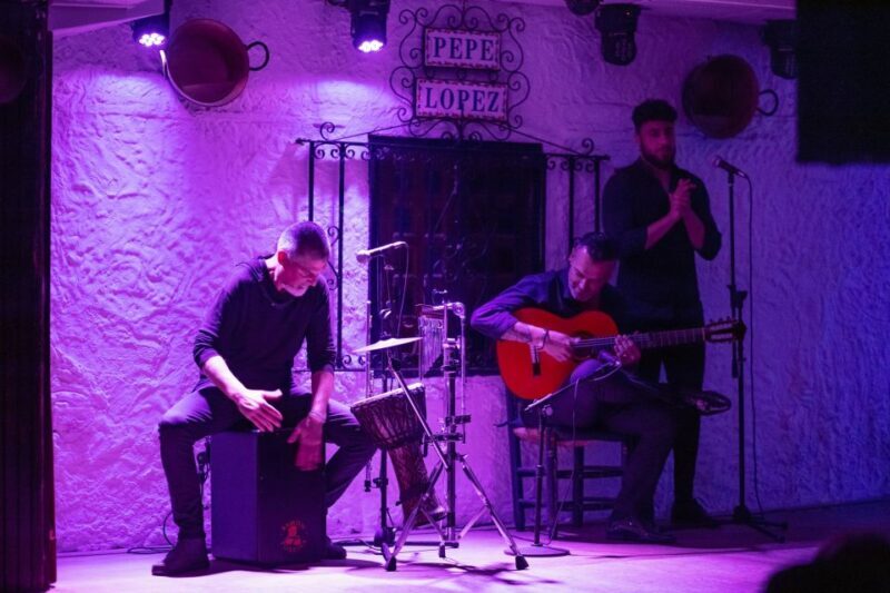 Torremolinos: Flamenco Show with Drinks - Who Will Enjoy This Experience?