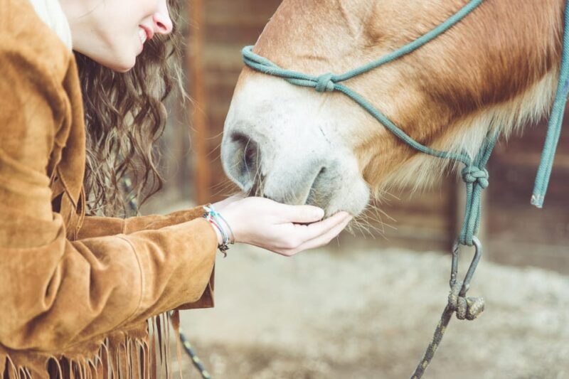 Torremolinos: Guided tour to stables of El Ranchito - How the Tour Fits in Your Travel Plan