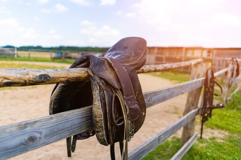Torremolinos: Guided tour to stables of El Ranchito - Who Should Consider This Tour?
