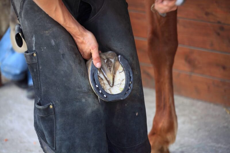 Torremolinos: Guided tour to stables of El Ranchito - FAQ