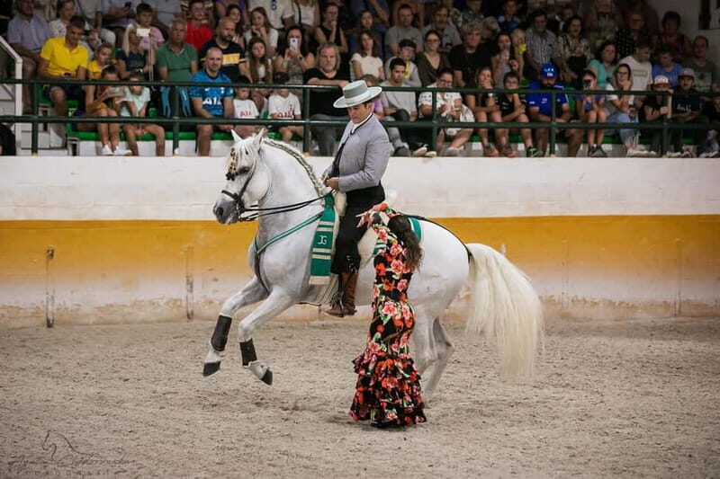 Torremolinos: Spanish horse show and flamenco with dinner option - Key Points