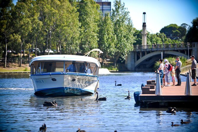 Torrens River Cruise in Adelaide - Authentic Reviews and Insights