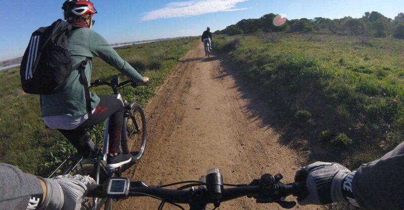 Torrevieja: Natural Parks e-Bike Tour - Value and Overall Impression