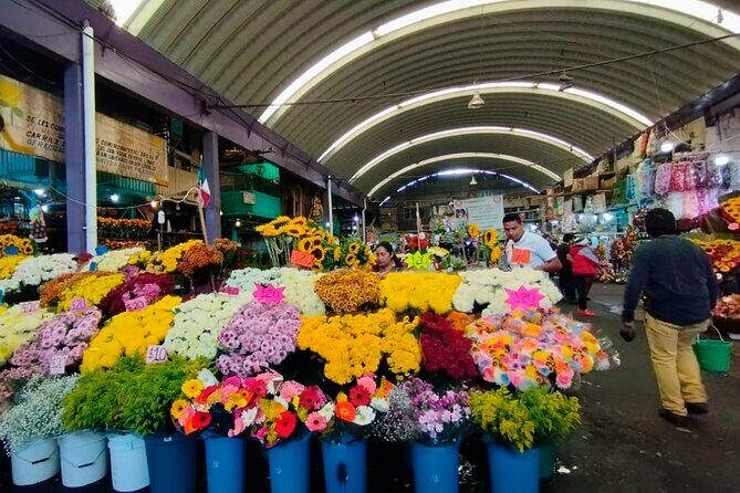 Tortilla Crawl: Food Tour in Mexico City - Why This Tour Offers Great Value