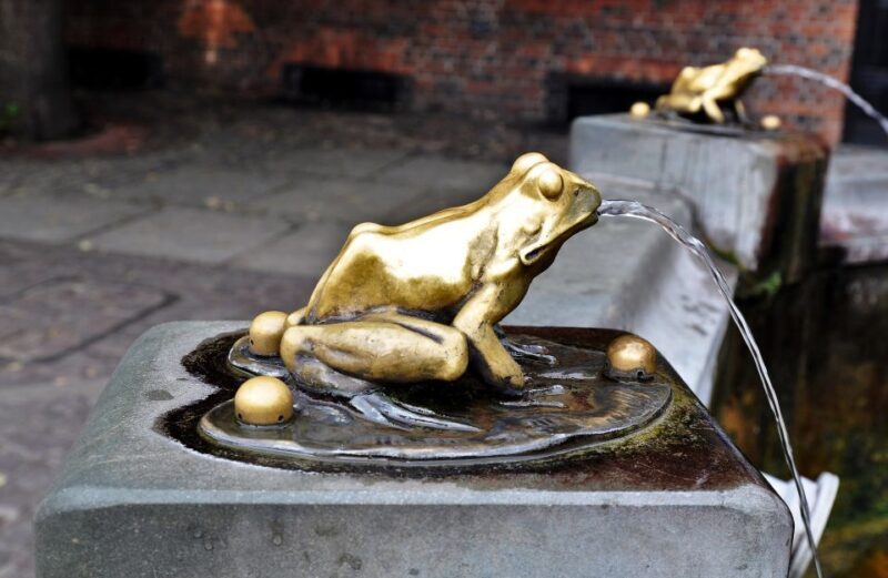 Torun Old Town Highlights Private Walking Tour - Detailed Review of the Torun Old Town Highlights Private Walking Tour