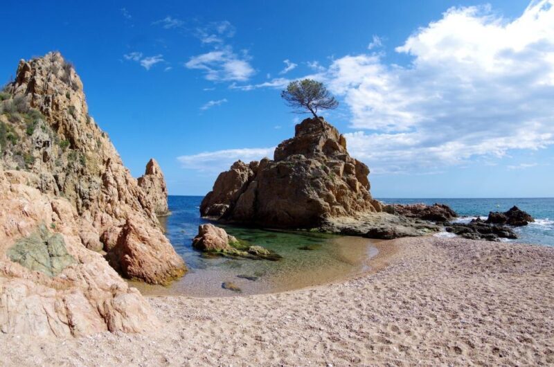 Tossa de Mar: PADI Scuba Diver Certification Course - What to Expect from the Tossa de Mar PADI Scuba Diver Course