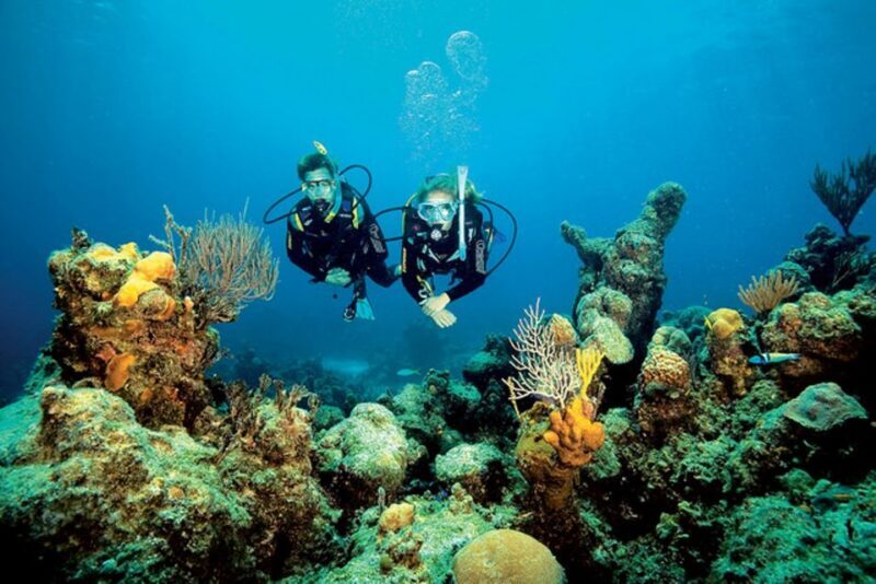 Tossa de Mar: Scuba Diving Experience for Beginners - Key Points