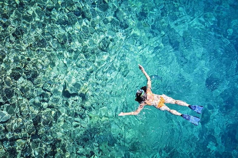 Tossa de Mar: Snorkeling Tour - Tossa de Mar: Snorkeling Tour — A Detailed Look