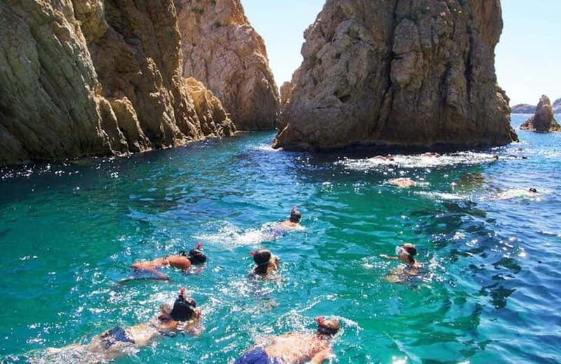 Tossa de Mar: Snorkeling Tour - What to Expect from the Snorkeling Tour