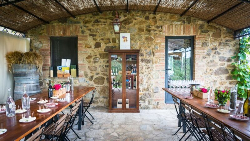 Total Immersion Wine Tour in Chianti - Authenticity & Small Group Feel