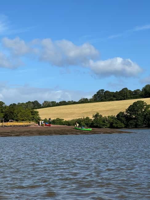 Totnes: Canoe the River Dart - What to Expect on the Canoe Trip