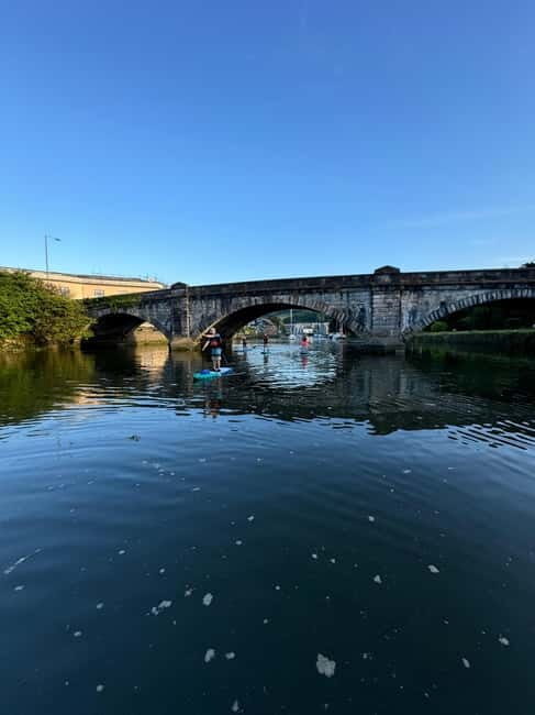 Totnes: Paddleboard adventure on the River Dart - Key Points