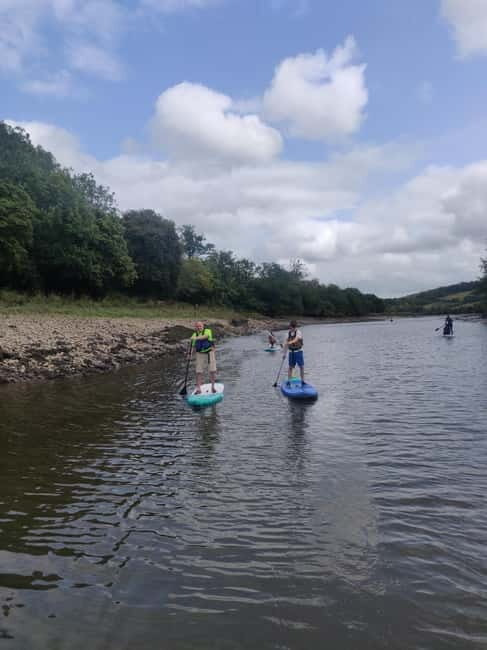 Totnes: Paddleboard adventure on the River Dart - An In-Depth Look at the Paddleboard Adventure on the River Dart