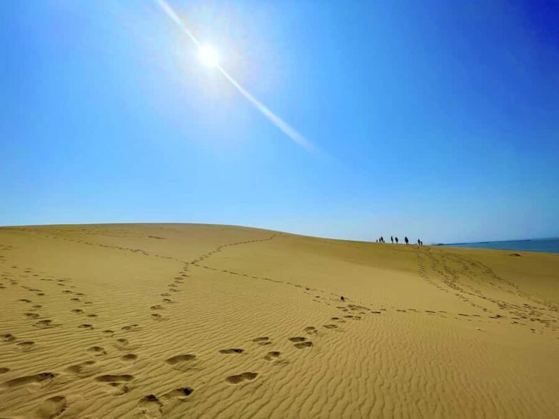 Tottori: Guided Walk through the Tottori Sand Dunes - Key Points