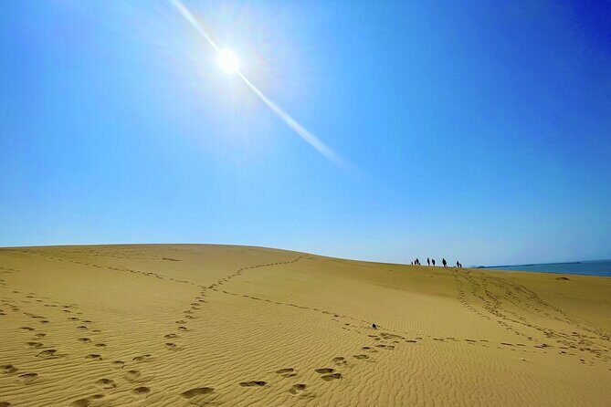 Tottori: Guided Walk through the Tottori Sand Dunes - Exploring the Tottori Sand Dunes: What to Expect