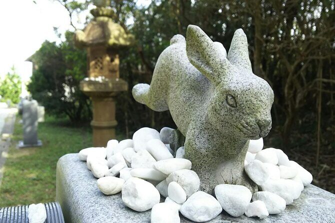 Tottori Sand Dunes and Authentic Local 1 Day Tour - Seasonal Variations: Winter Pear Museum and Summer Ocean Views