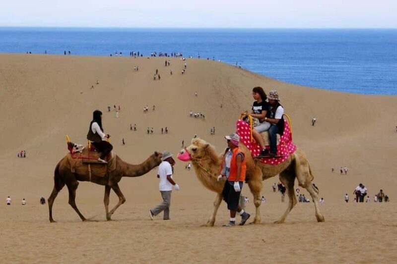Tottori: Sand Dunes & Sea Coast Private Tour with Pickup - The Sum Up