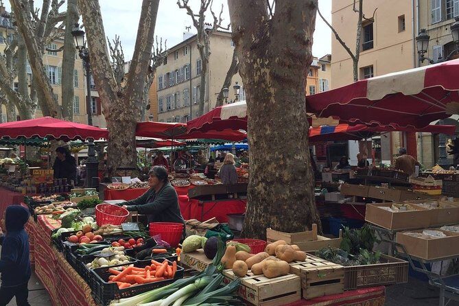 Toulon private Shore Excursion: A taste of Provence - What the Guides Bring to the Table