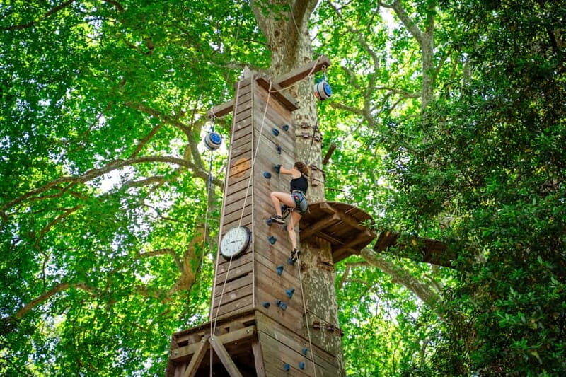 Toulon: Tree climbing course - Practical Tips for Visitors