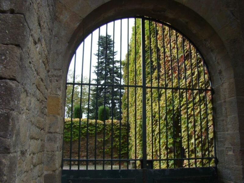 Toulouse to Carcassonne & Albi: Private Sightseeing Tour - The Practicalities: What You Need to Know