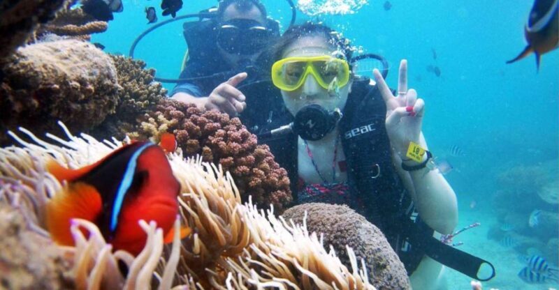 Tour 3 islands of Nha Trang - Introduction: What to Expect from the Nha Trang 3 Islands Tour