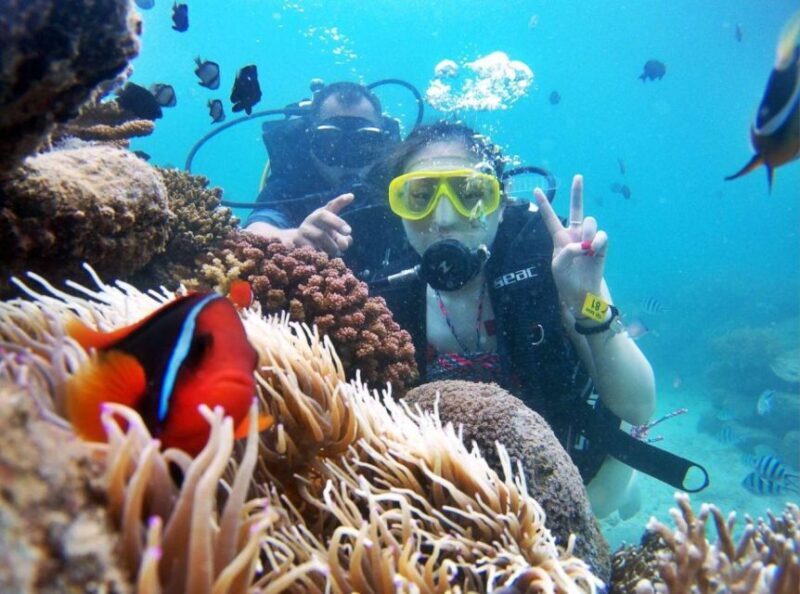 Tour 3 islands of Nha Trang - What This Tour Means for You